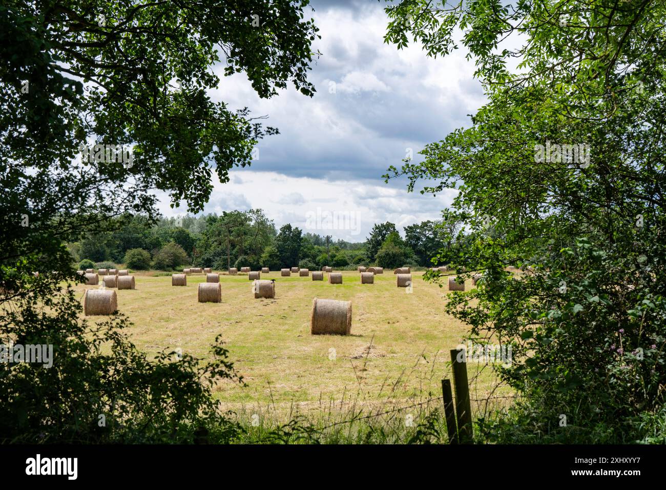 Round hay bales Ufford Suffolk England Stock Photo - Alamy