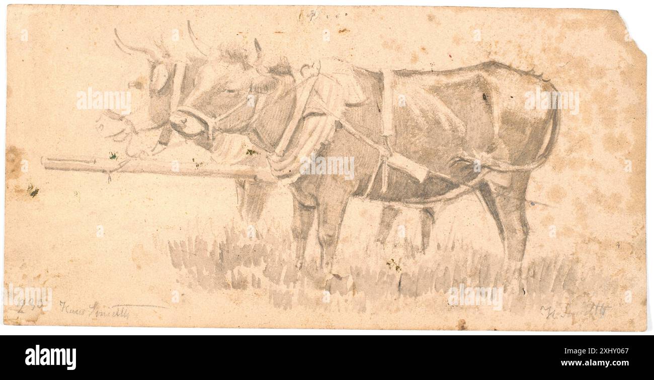 Two drawers Smidth, Hans 1839 - 1917 Drawing Samlede noveller, Steen ...