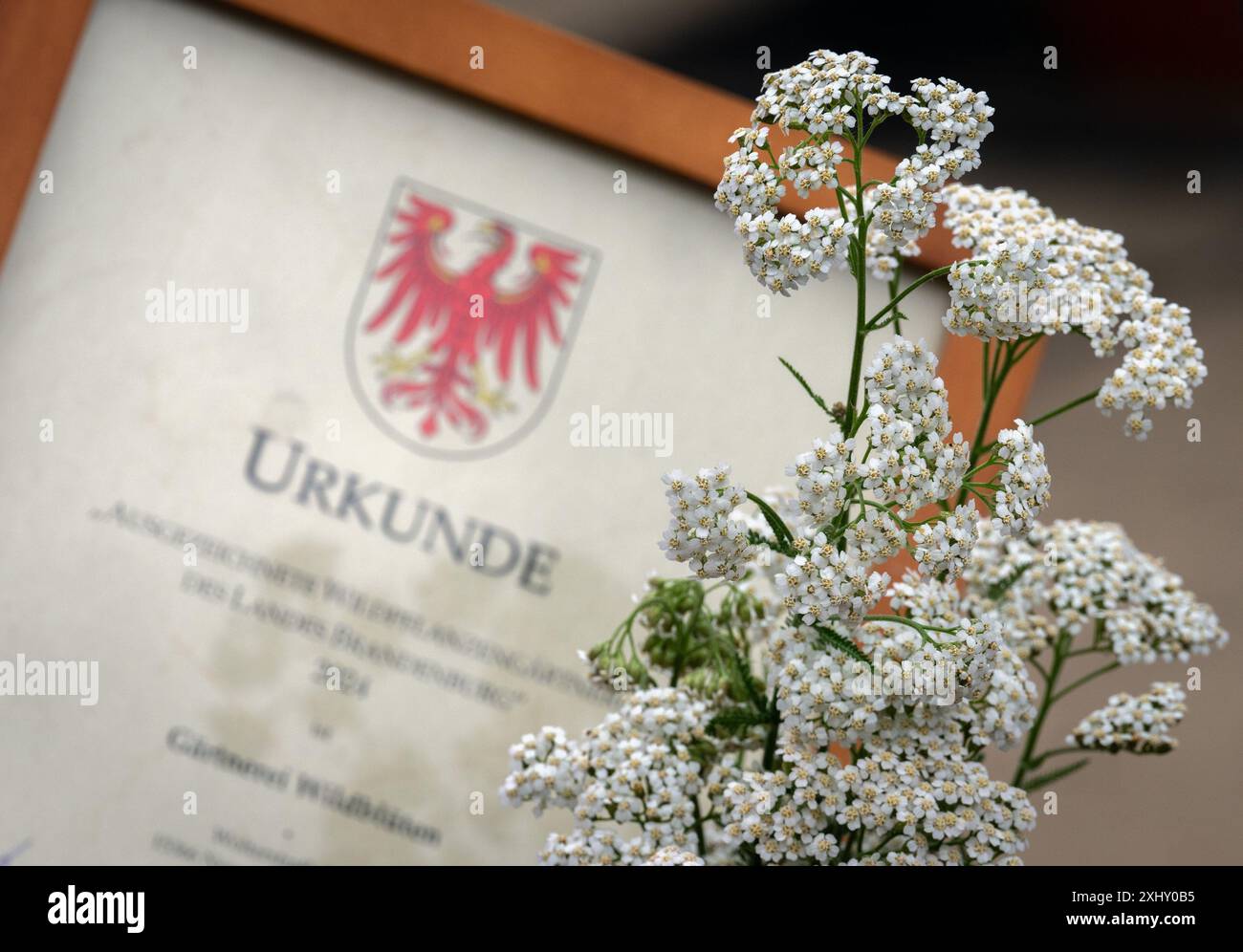 Dgg symbol hi-res stock photography and images - Alamy