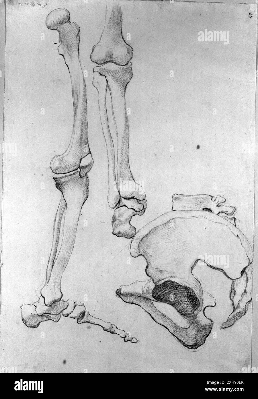 Toe over knee hi-res stock photography and images - Alamy