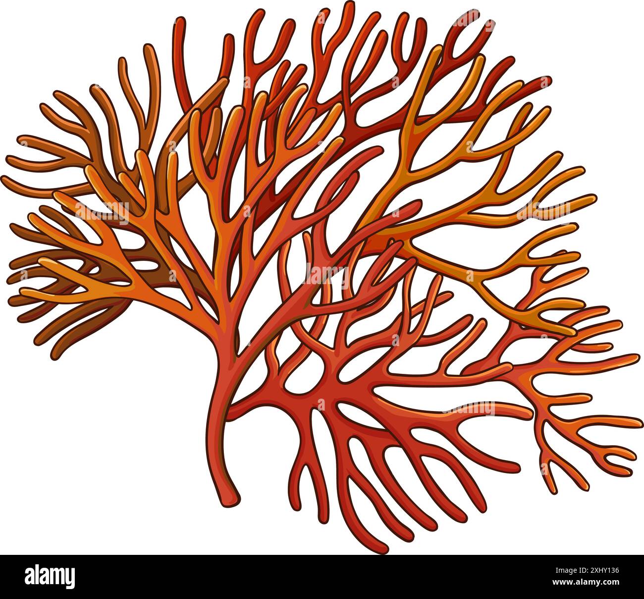 Sea Moss Plant Colored Detailed Illustration Stock Vector Image & Art ...