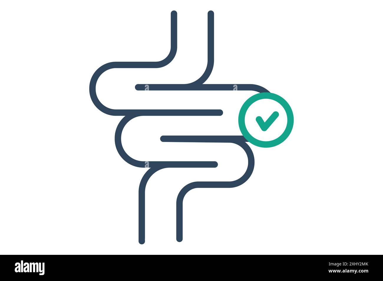 Gut icon. icon related to digestive system. line icon style. gut health ...