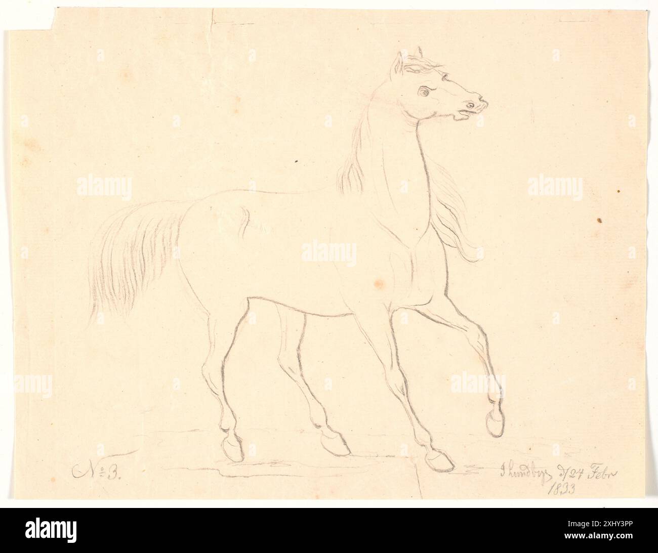 Drawing by Johan Thomas Lundbye showing a horse stopping in place ...