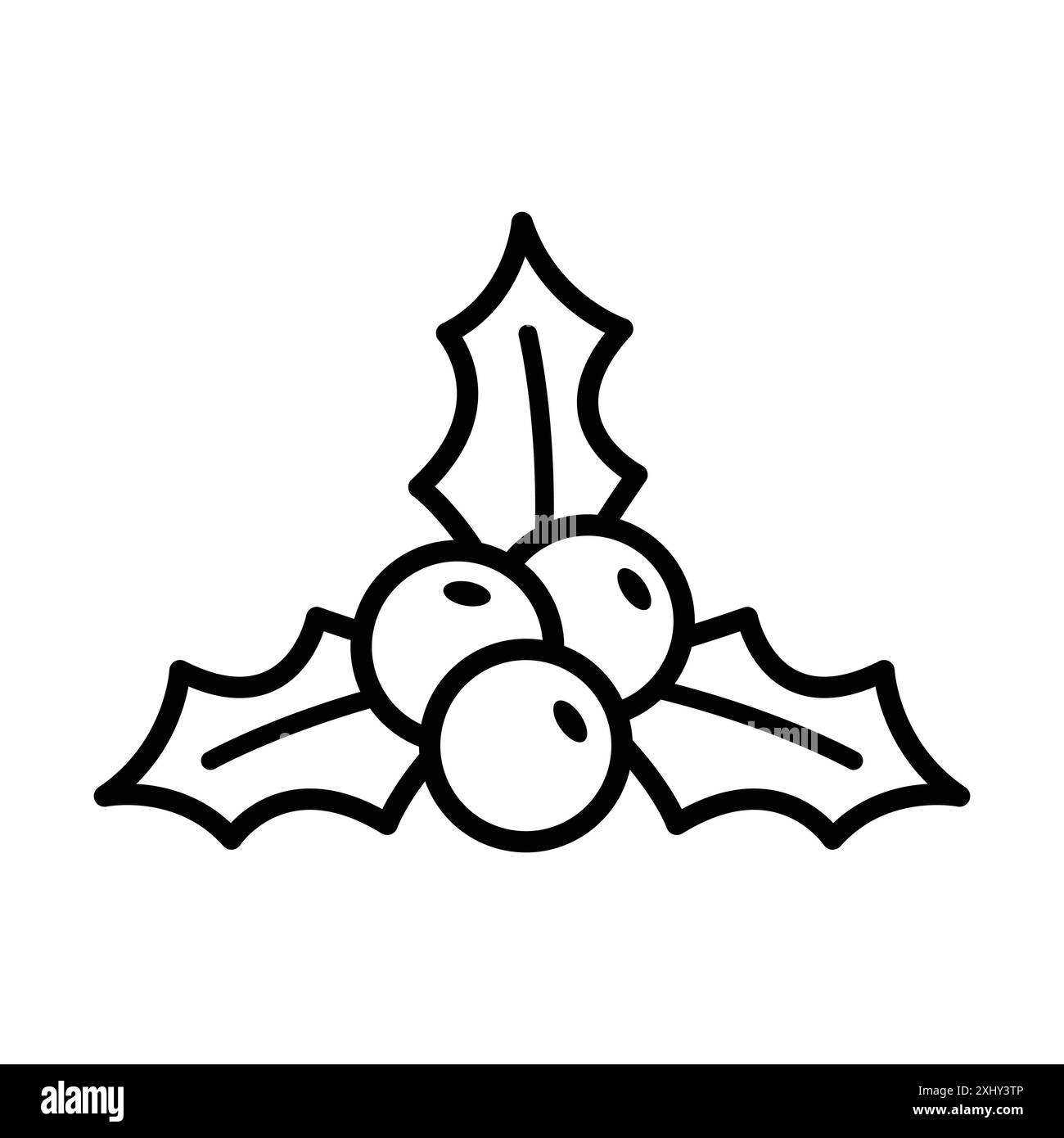 holly icon vector design template in white background Stock Vector ...