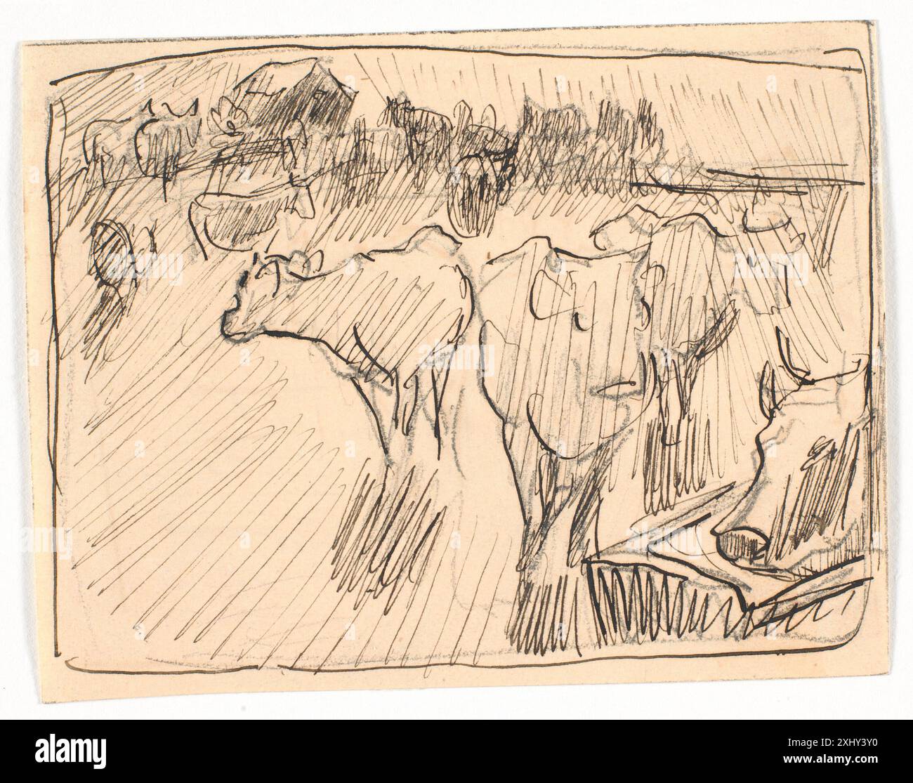 Water trough with cows Cut Out Stock Images & Pictures - Alamy