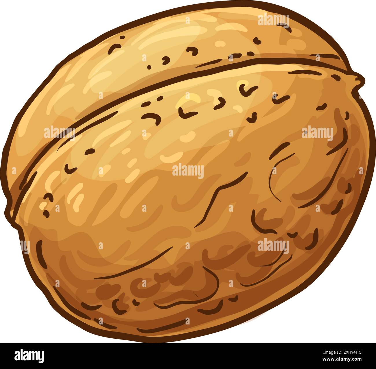 Walnut Colored Isolated Detailed Illustration Stock Vector Image & Art ...
