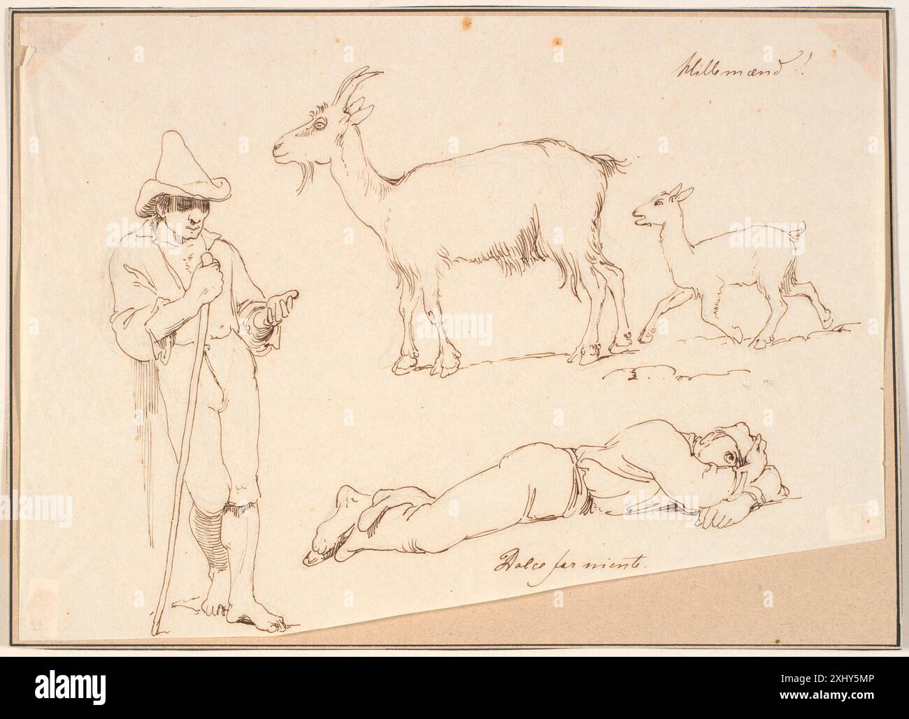 Liggende goat hi-res stock photography and images - Alamy