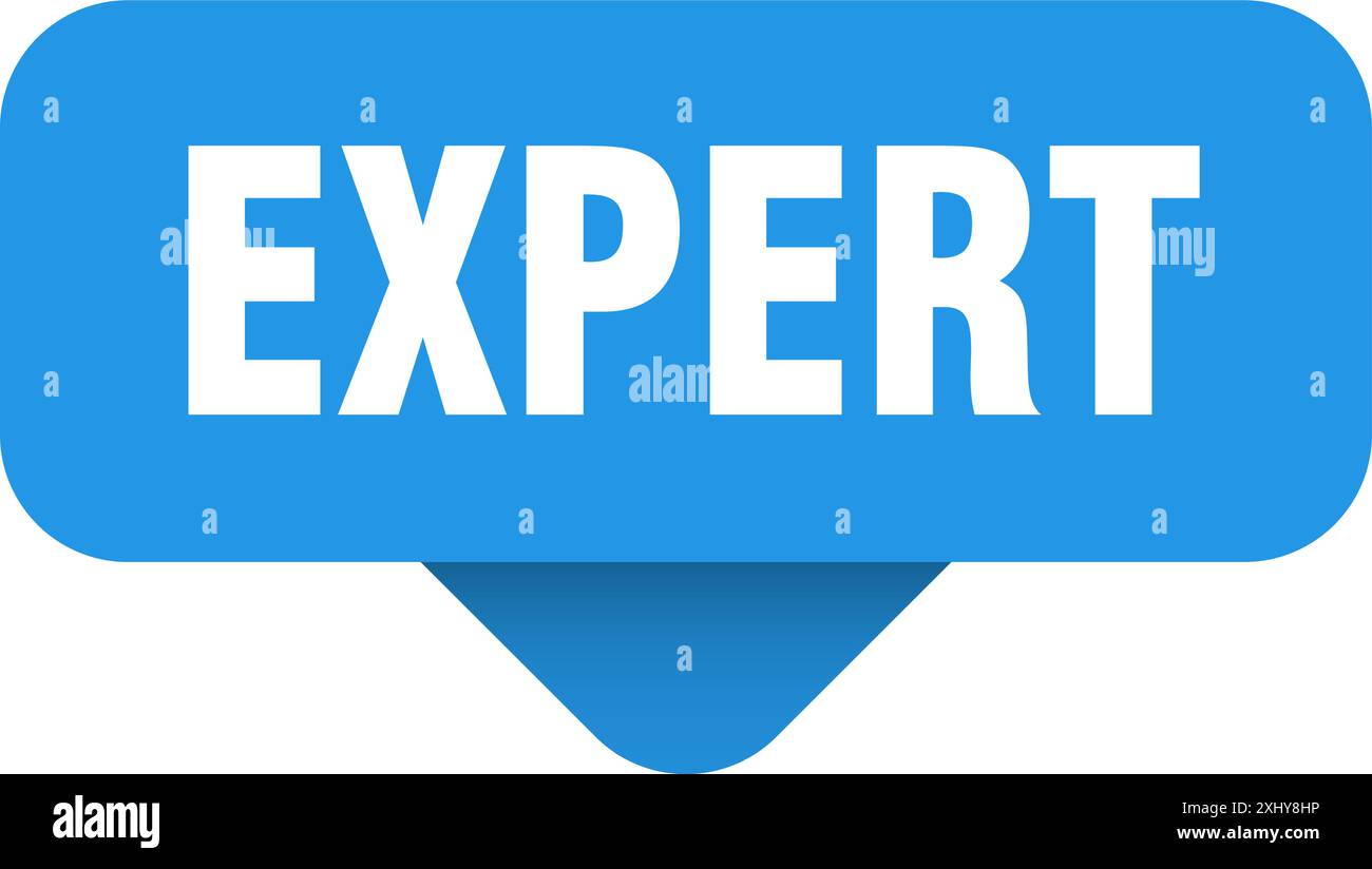 expert sticker. expert sign on transparent background. rectangular ...