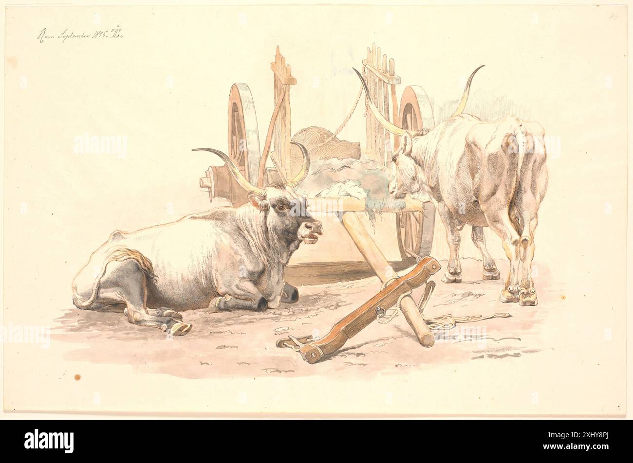 Drawing by Johan Thomas Lundbye of a lying down and a standing ox near ...