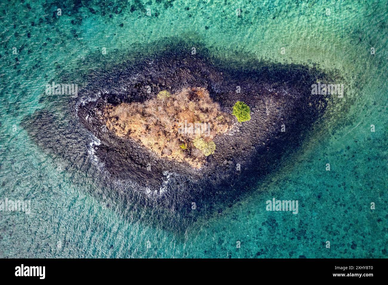 mayotte lagoon biodiversity Stock Photo - Alamy