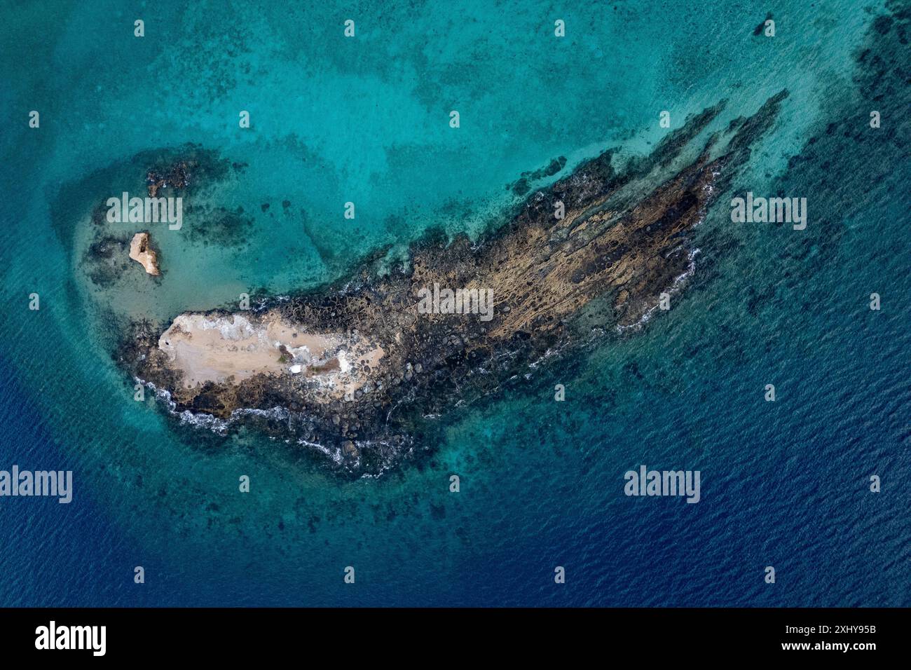 Lagoon biodiversity hi-res stock photography and images - Alamy