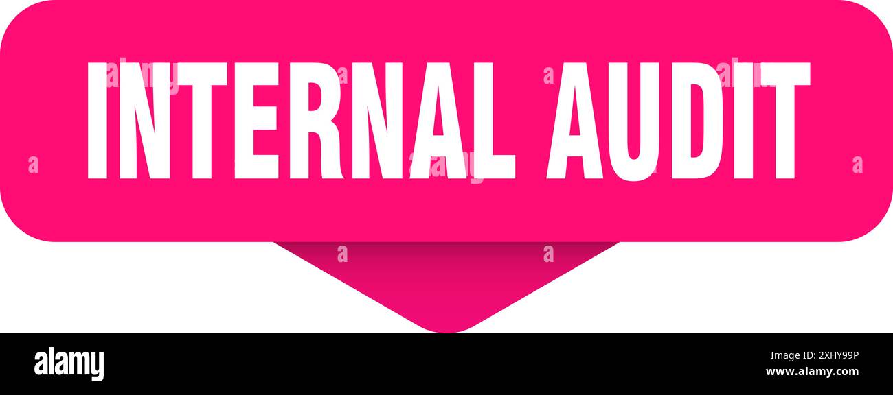internal audit sticker. internal audit sign on transparent background ...