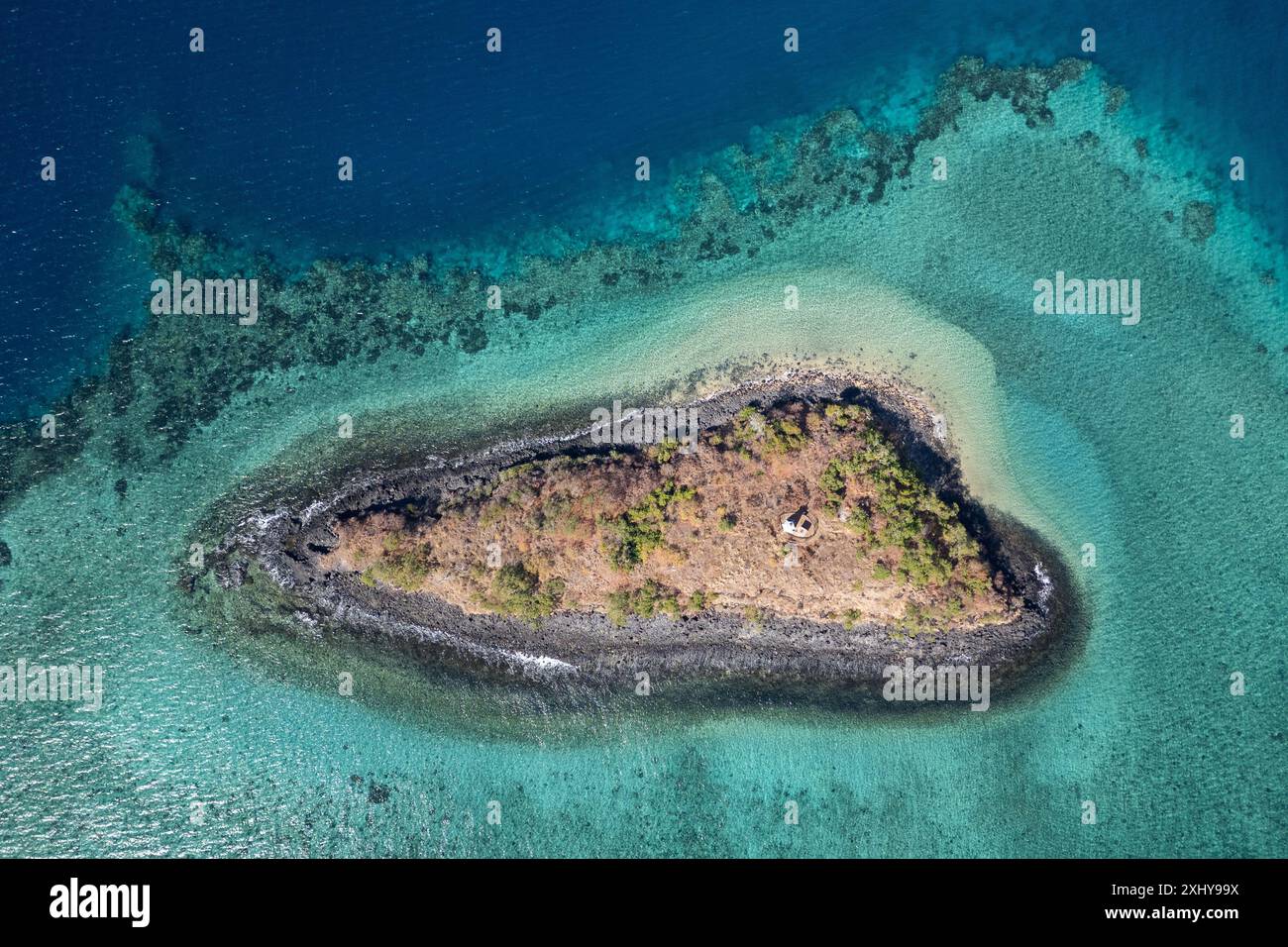 mayotte lagoon biodiversity Stock Photo - Alamy