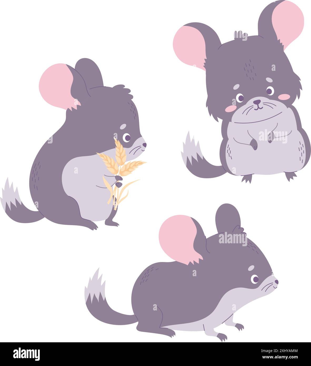 Cute chinchilla collection. Isolated funny cartoon animal rodent ...