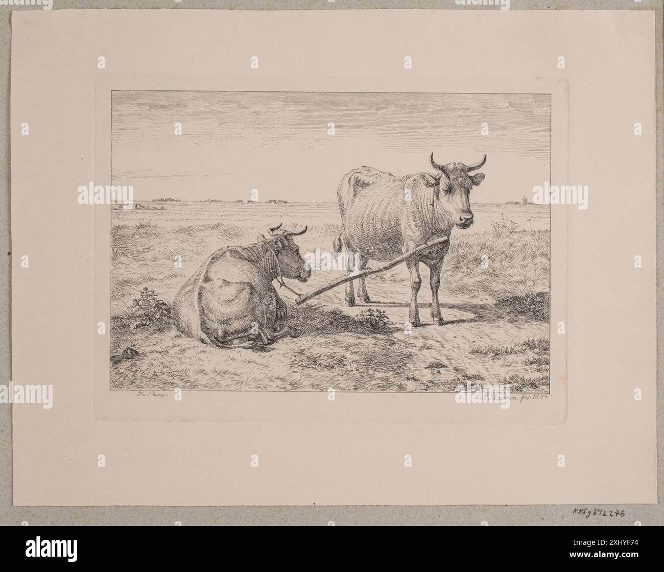 Engraving showing two interconnected cows in a rural scene, created by ...