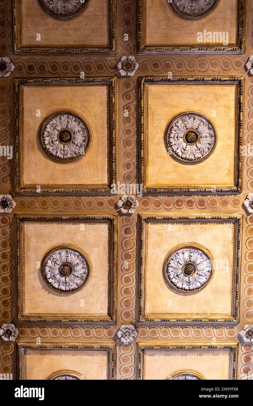 Traditional Venice interior ceiling detail Stock Photo - Alamy