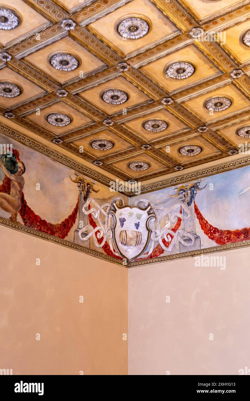 Traditional Venice interior ceiling detail Stock Photo - Alamy