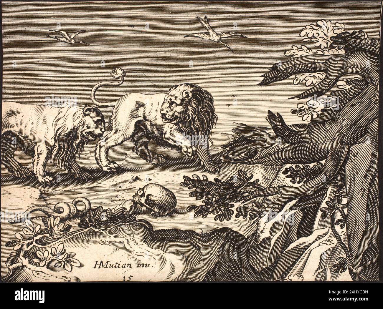 Two Lions in Nature Matham, Jacob 1571 - 1631, Muziano, Girolamo 1532 ...