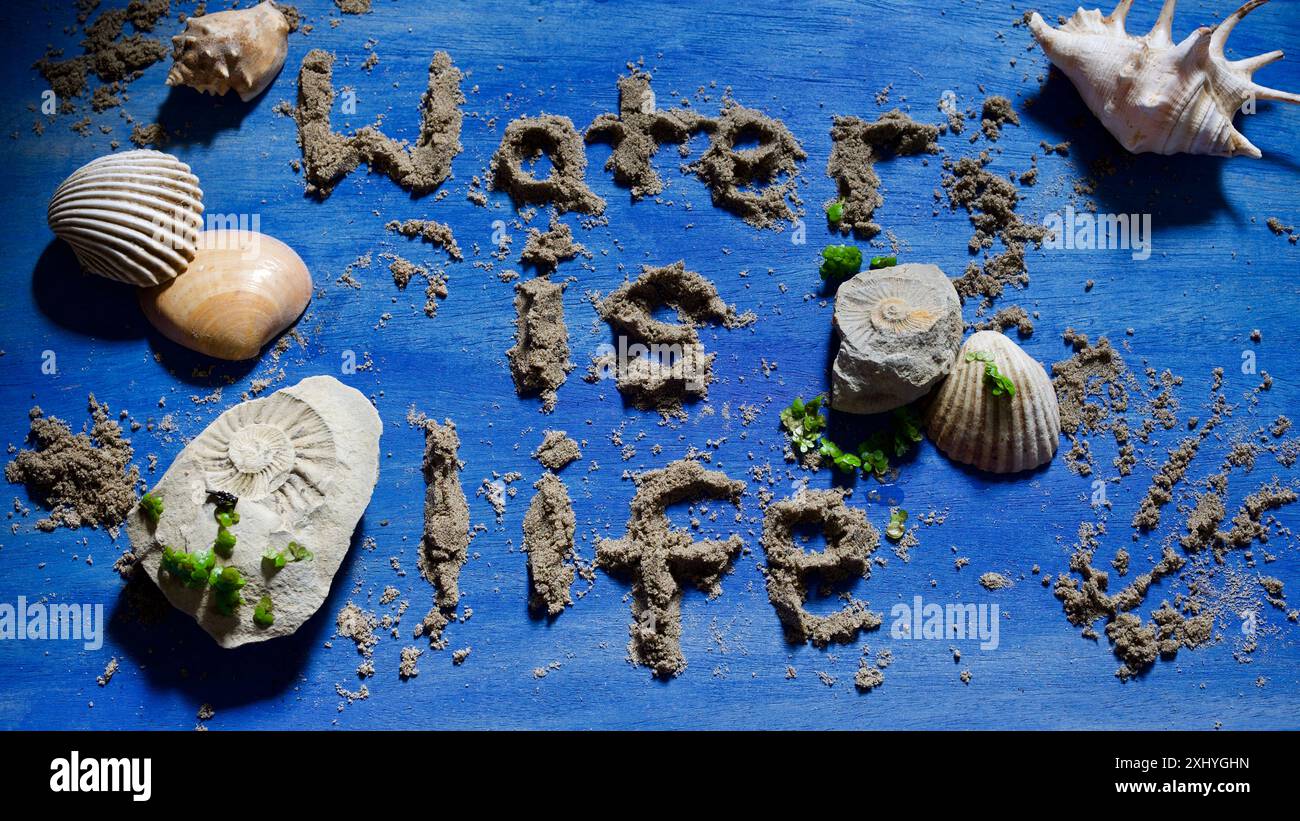 Sand and shells background hi-res stock photography and images - Alamy