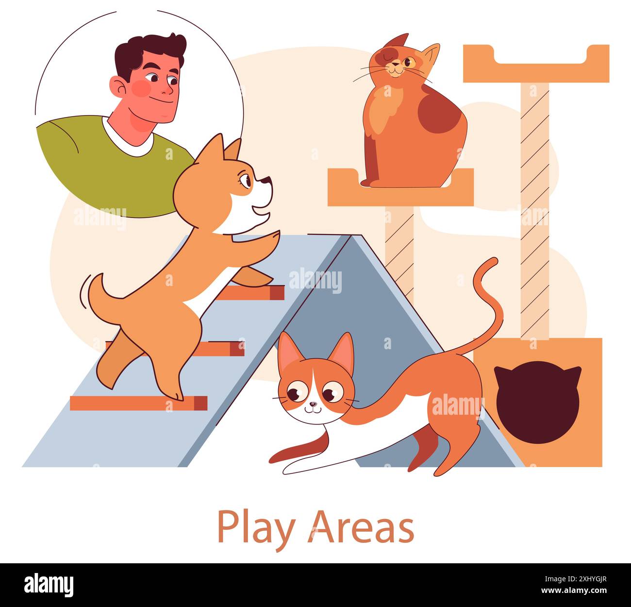 Pet Friendly Space concept. An inviting scene for pets with playful ...