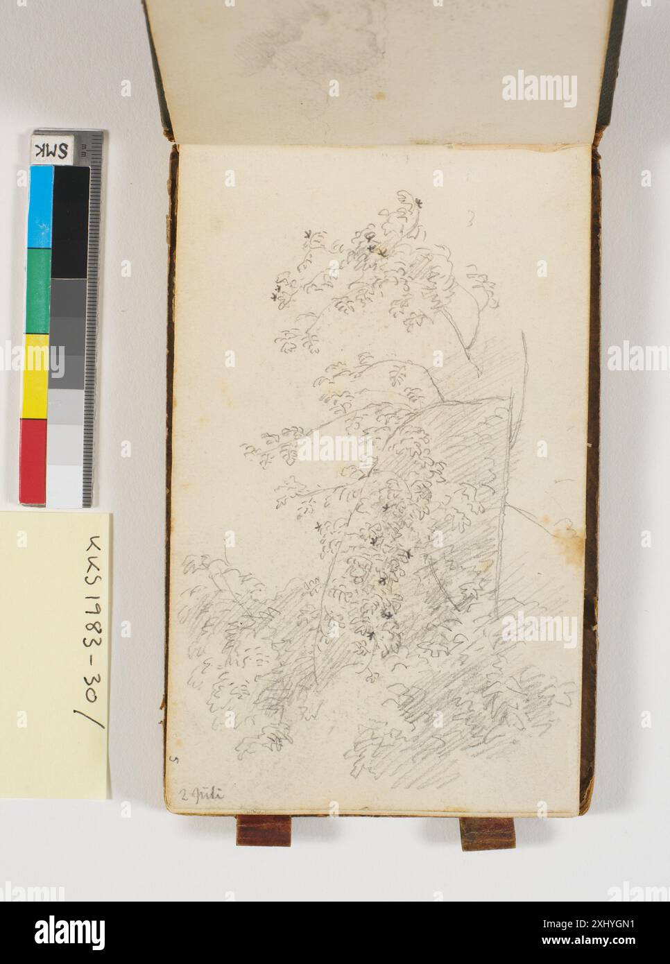 Drawing by P.C. Skovgaard (1817–1875) depicting a sketch of bushes ...
