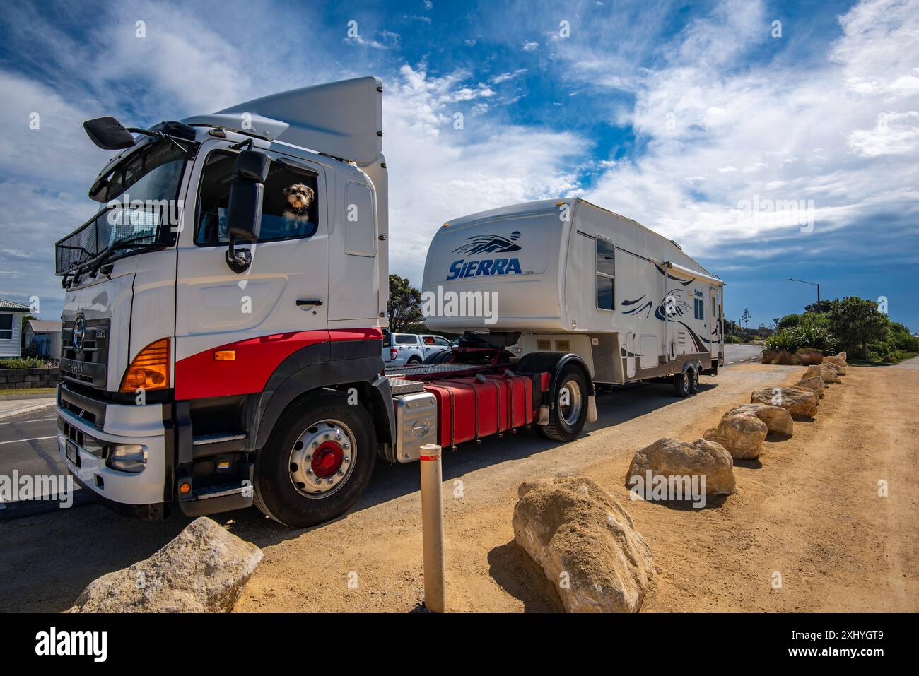A miniature Schnauzer dog stands guard in the cab of a Hino diesel ...