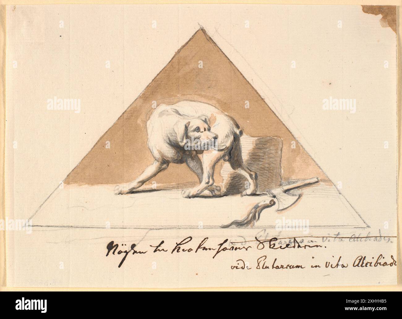 A drawing by Nicolai Abildgaard showing a dog with a chopped tail ...