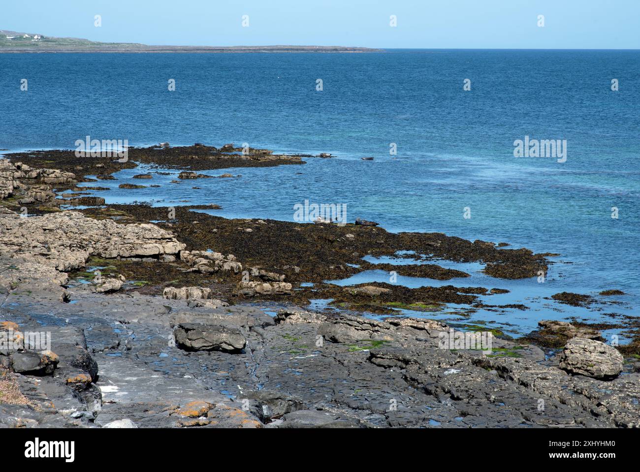 The seal colony beach on the Inis Mor, Co, Galway, Inishmore, Aran ...