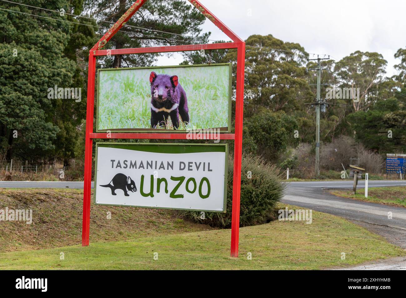 Tasmanian devil in tasmania australia hi-res stock photography and ...