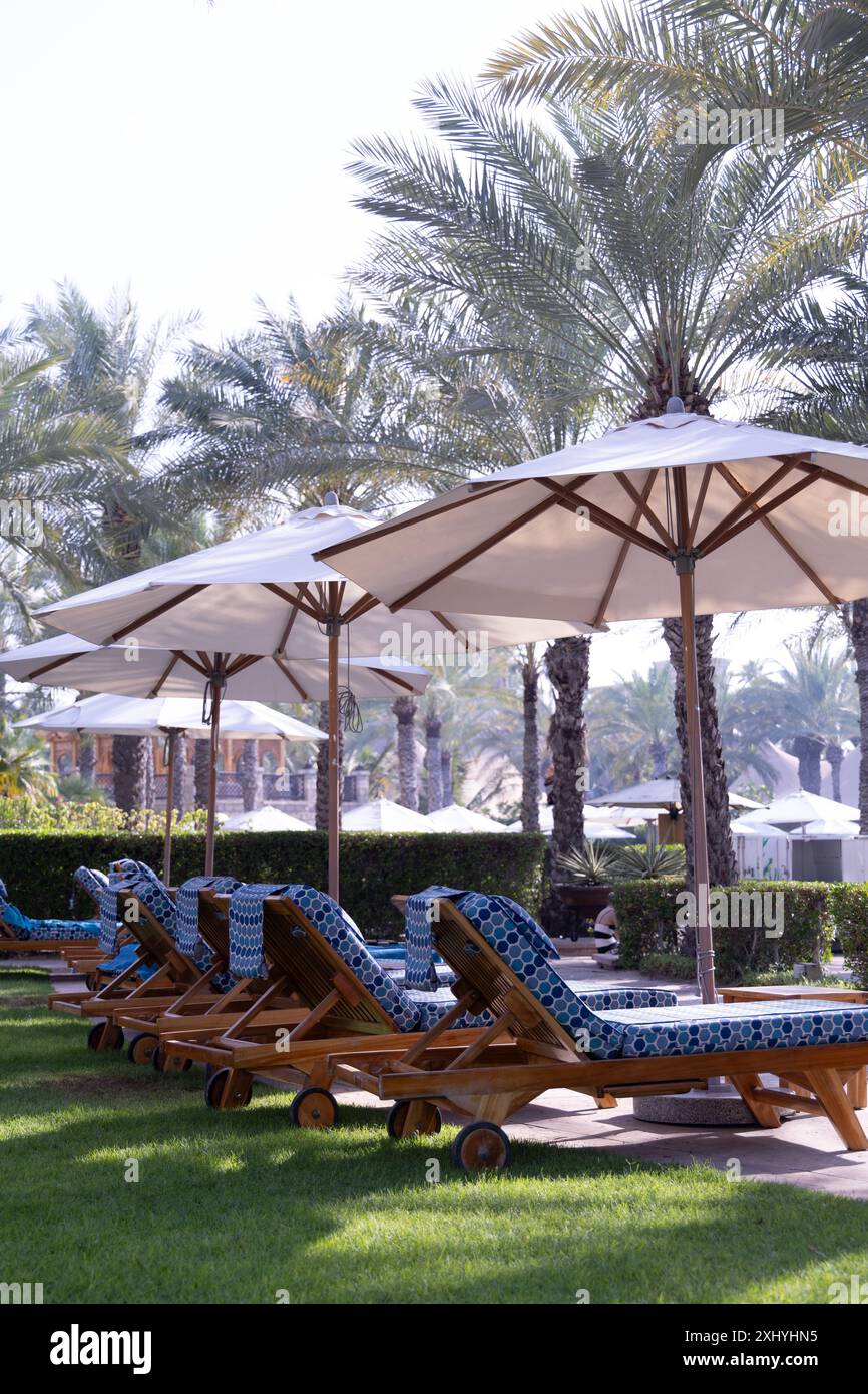 Beach beds and umbrella on grass with palm trees in background Stock ...
