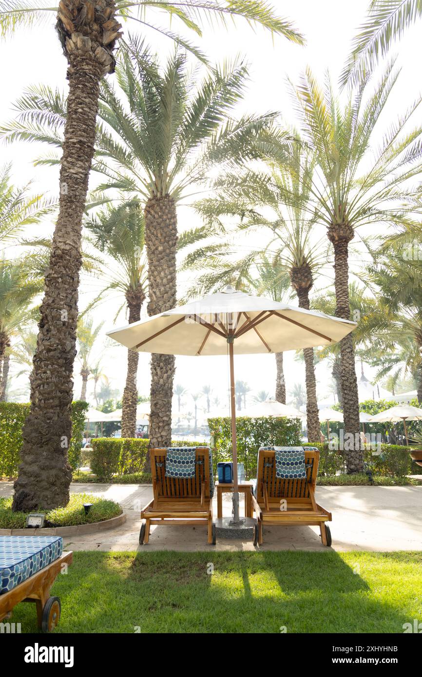 Beach beds and umbrella on grass with palm trees in background Stock ...