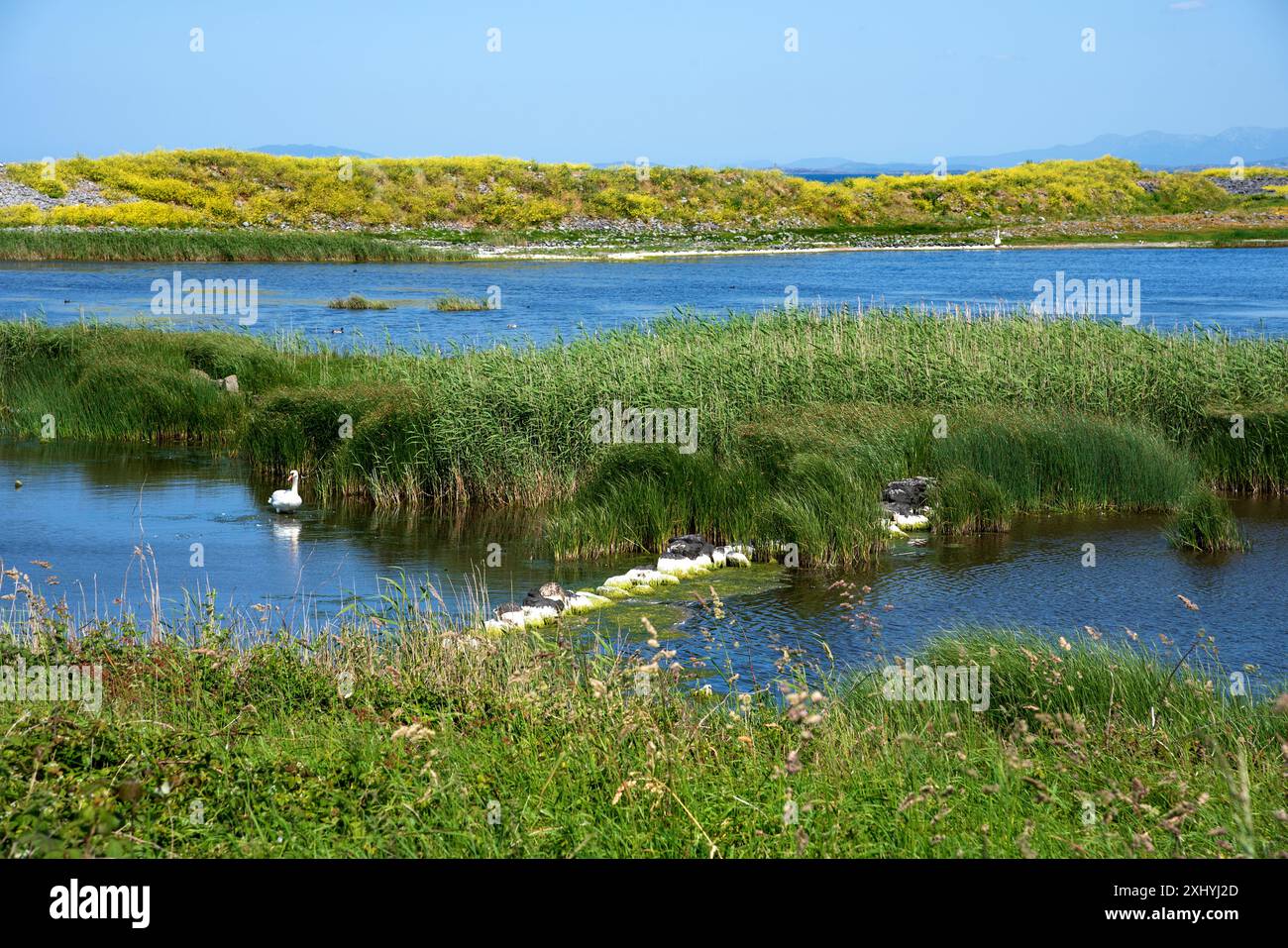 Small blue lake with green grass and wildlife on the Inishmore island ...