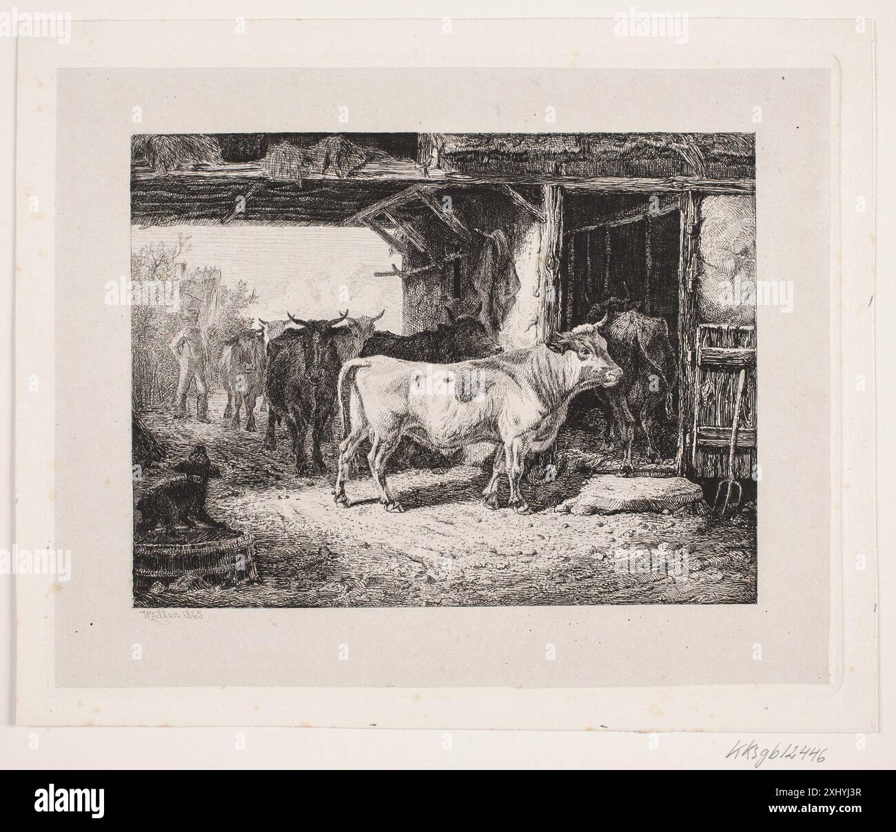 Engraving by Johannes Wilhelm Zillen showing cattle being driven home ...