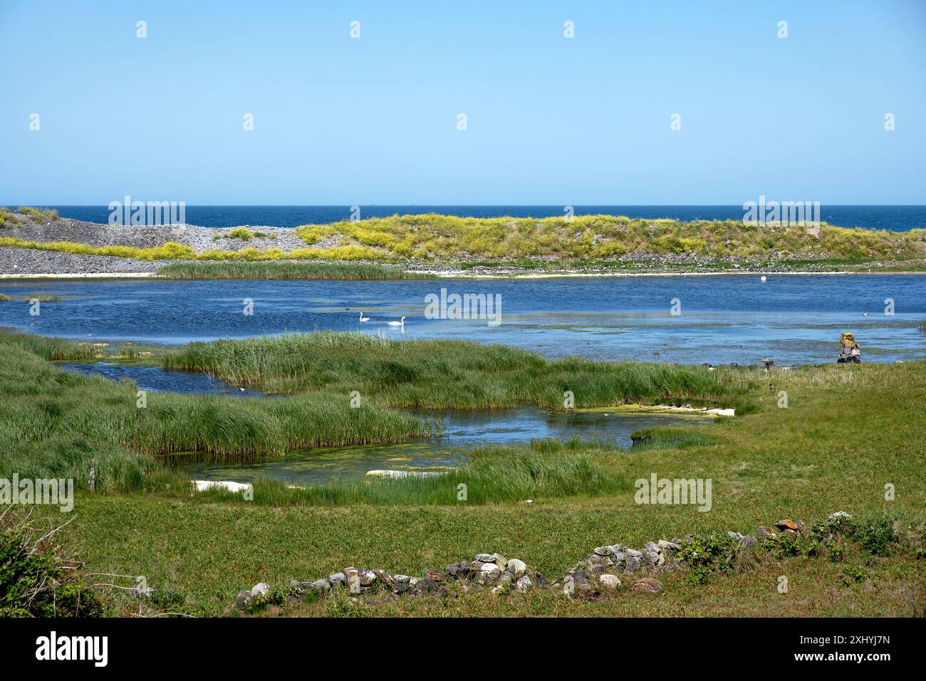 Small blue lake with green grass and wildlife on the Inishmore island ...
