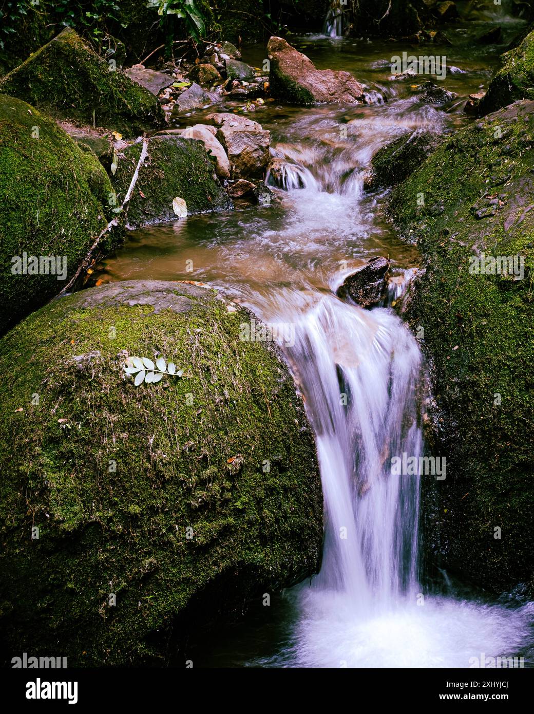 Small waterfall between stones hi-res stock photography and images - Alamy