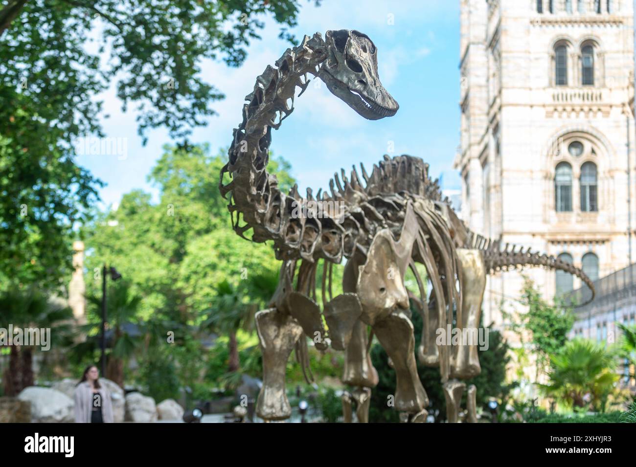 London, UK. 16 July 2024. 'Fern' a new bronze cast of the Museum's much ...