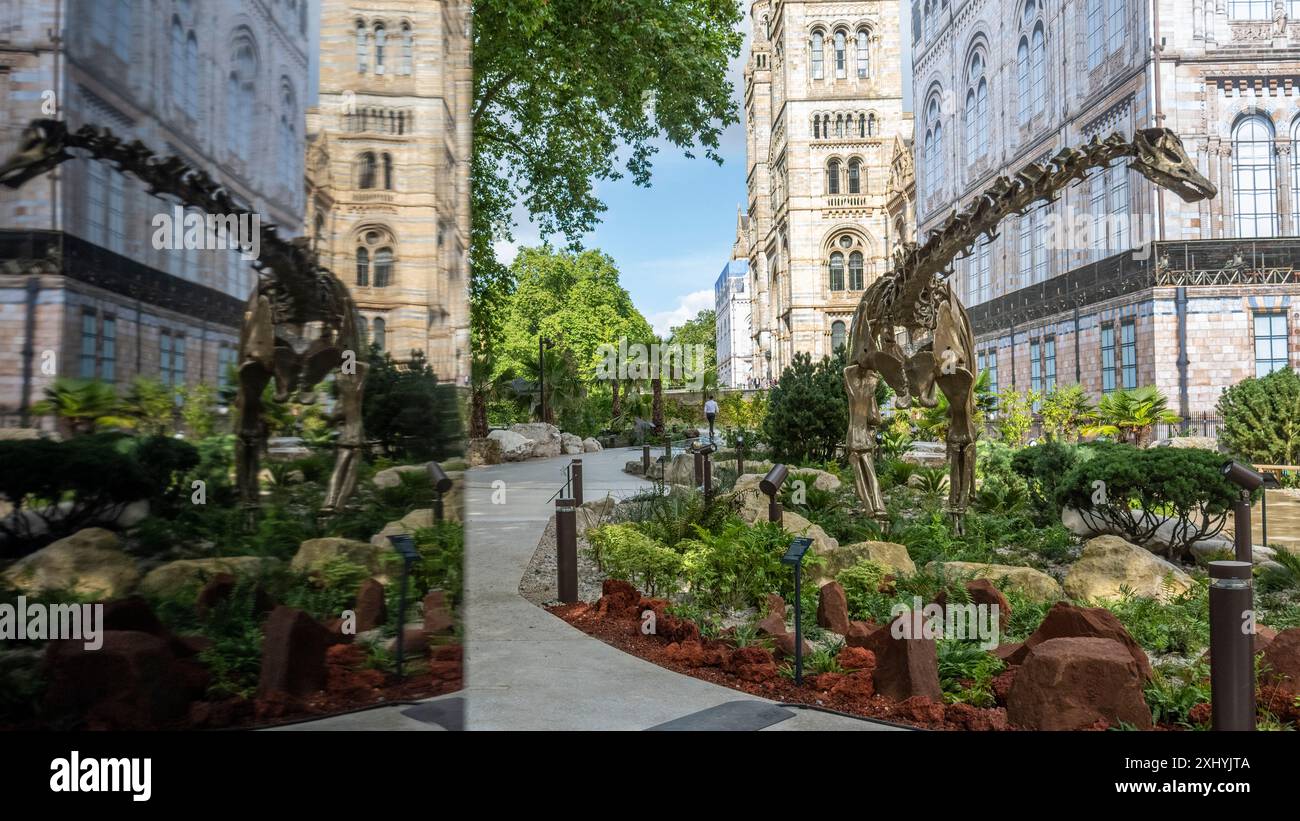London, UK. 16 July 2024. 'Fern' a new bronze cast of the Museum's much ...