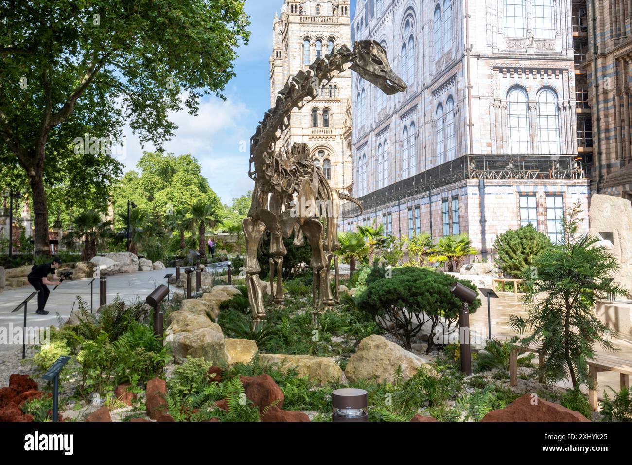 London, UK. 16 July 2024. 'Fern' a new bronze cast of the Museum's much ...