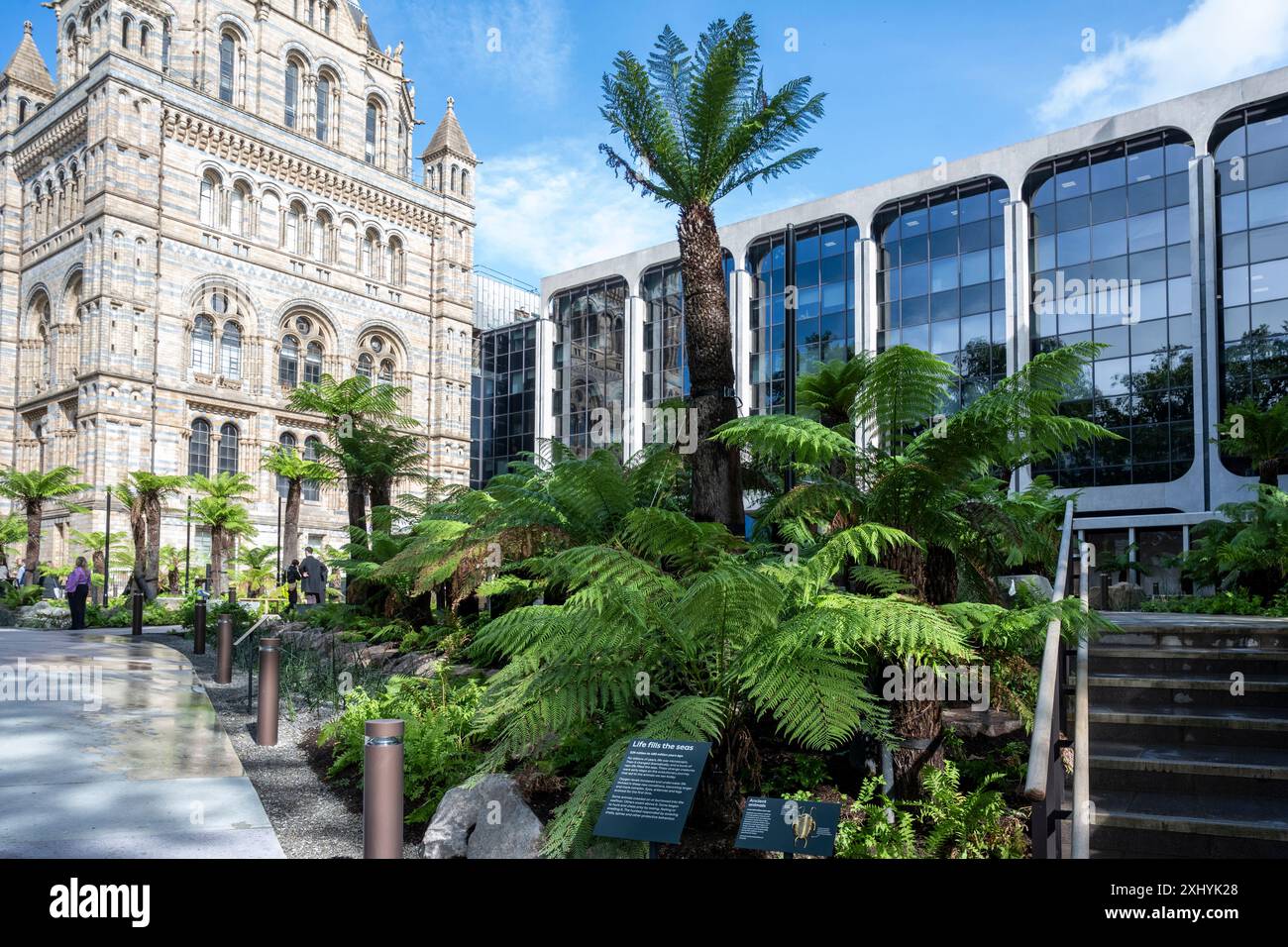 London, UK. 16 July 2024. A general view of the Evolution garden at a ...