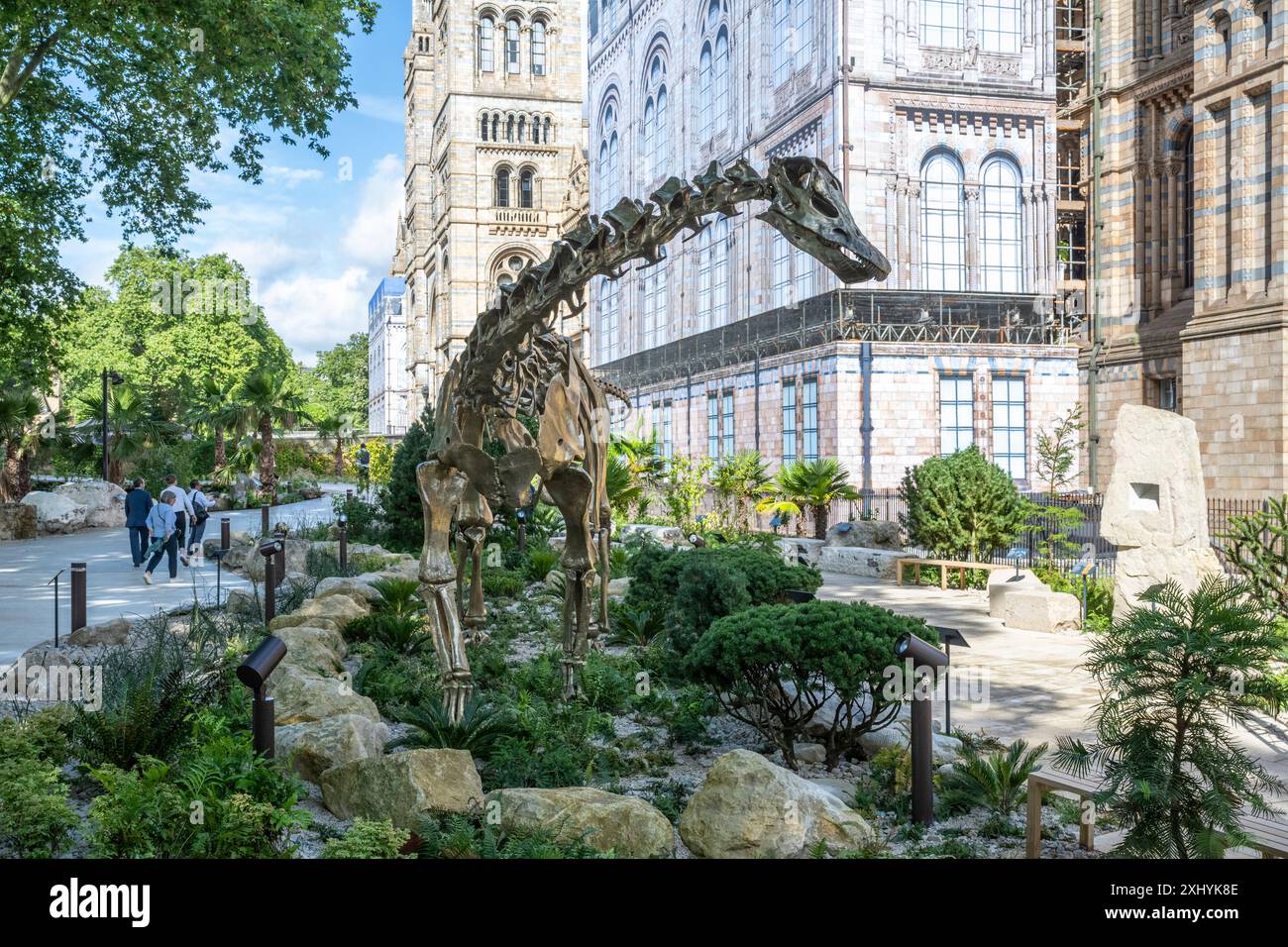 London, UK. 16 July 2024. 'Fern' a new bronze cast of the Museum's much ...