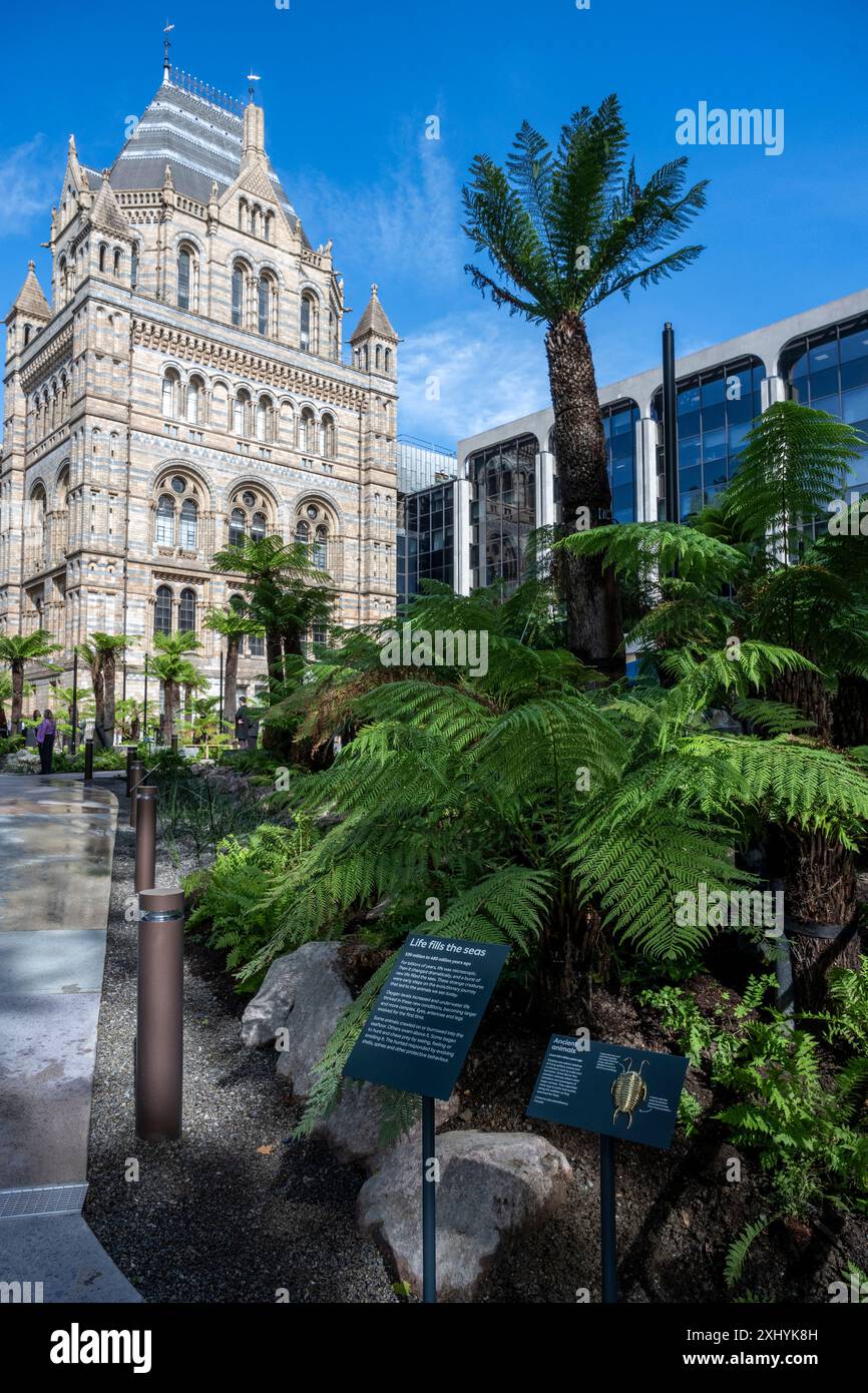 London, UK. 16 July 2024. A general view of the Evolution garden at a ...