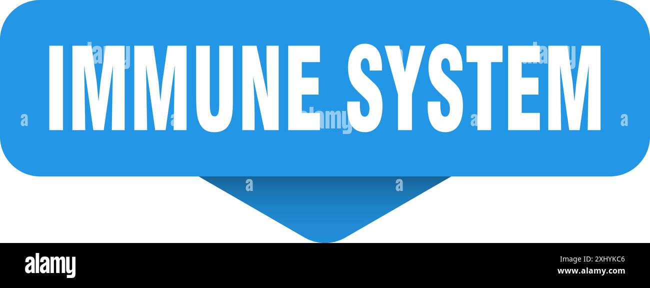immune system sticker. immune system sign on transparent background ...