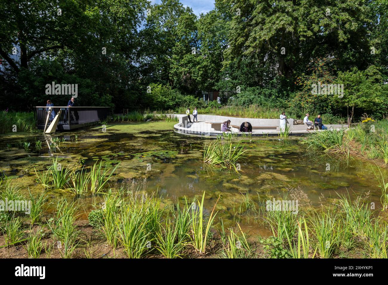 London, UK. 16 July 2024. A general view of the pond in The Nature ...