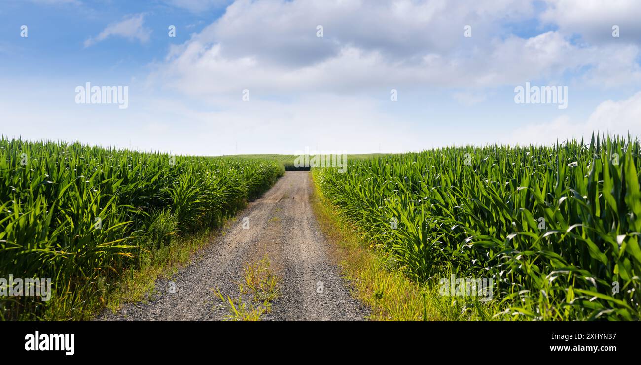 Colorful agricultural field hi-res stock photography and images - Alamy