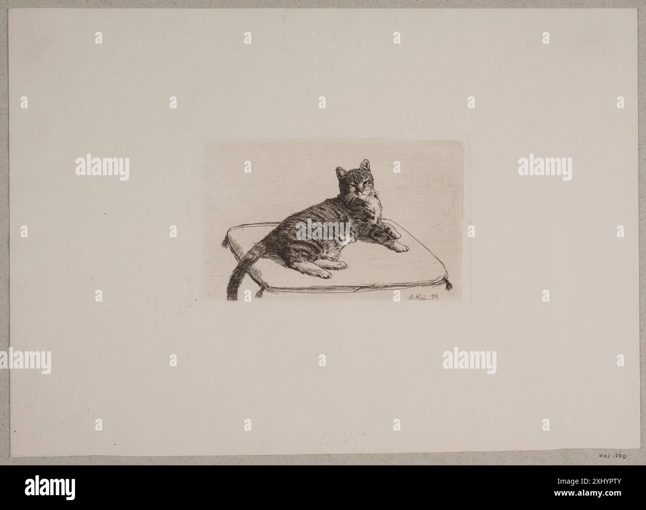 Etching by Axel Hou showing a cat lying down, including fur detail ...