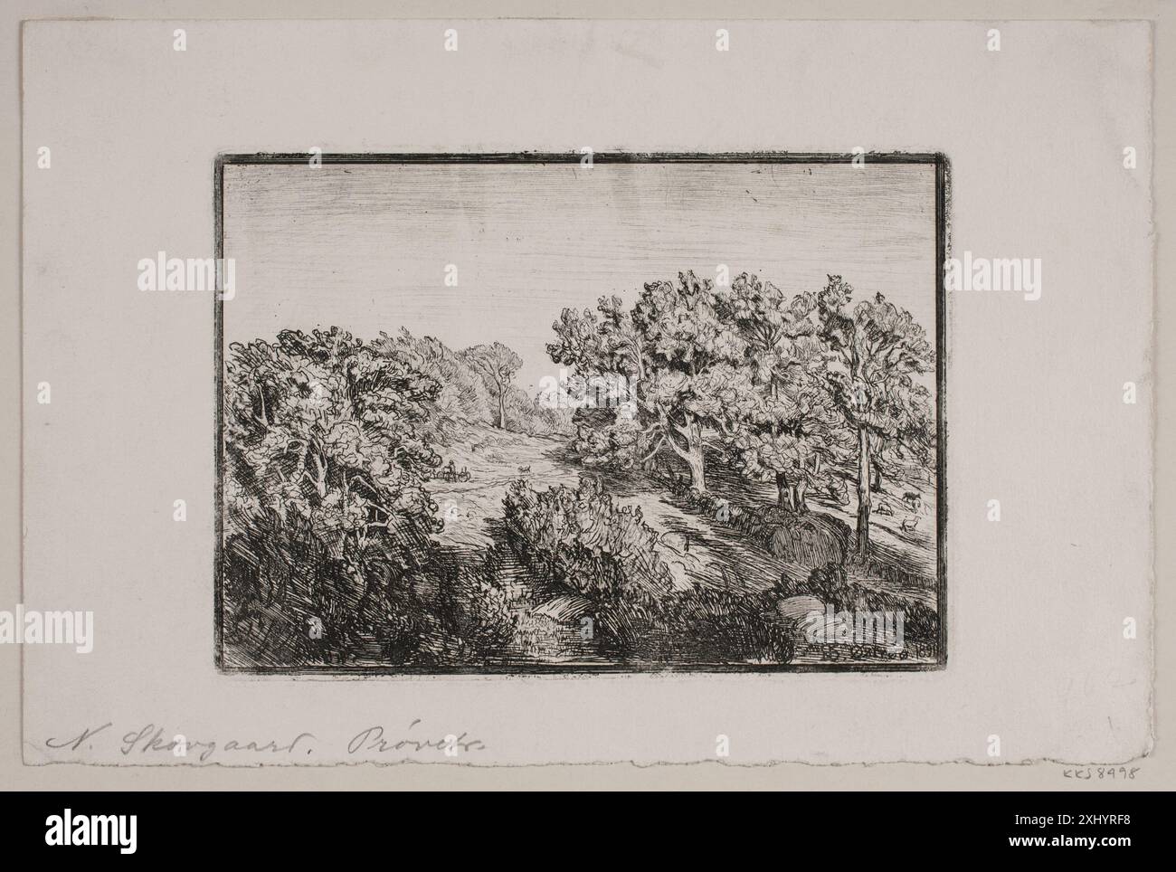 Etching by Niels Skovgaard showing an oak forest, with detailed ...