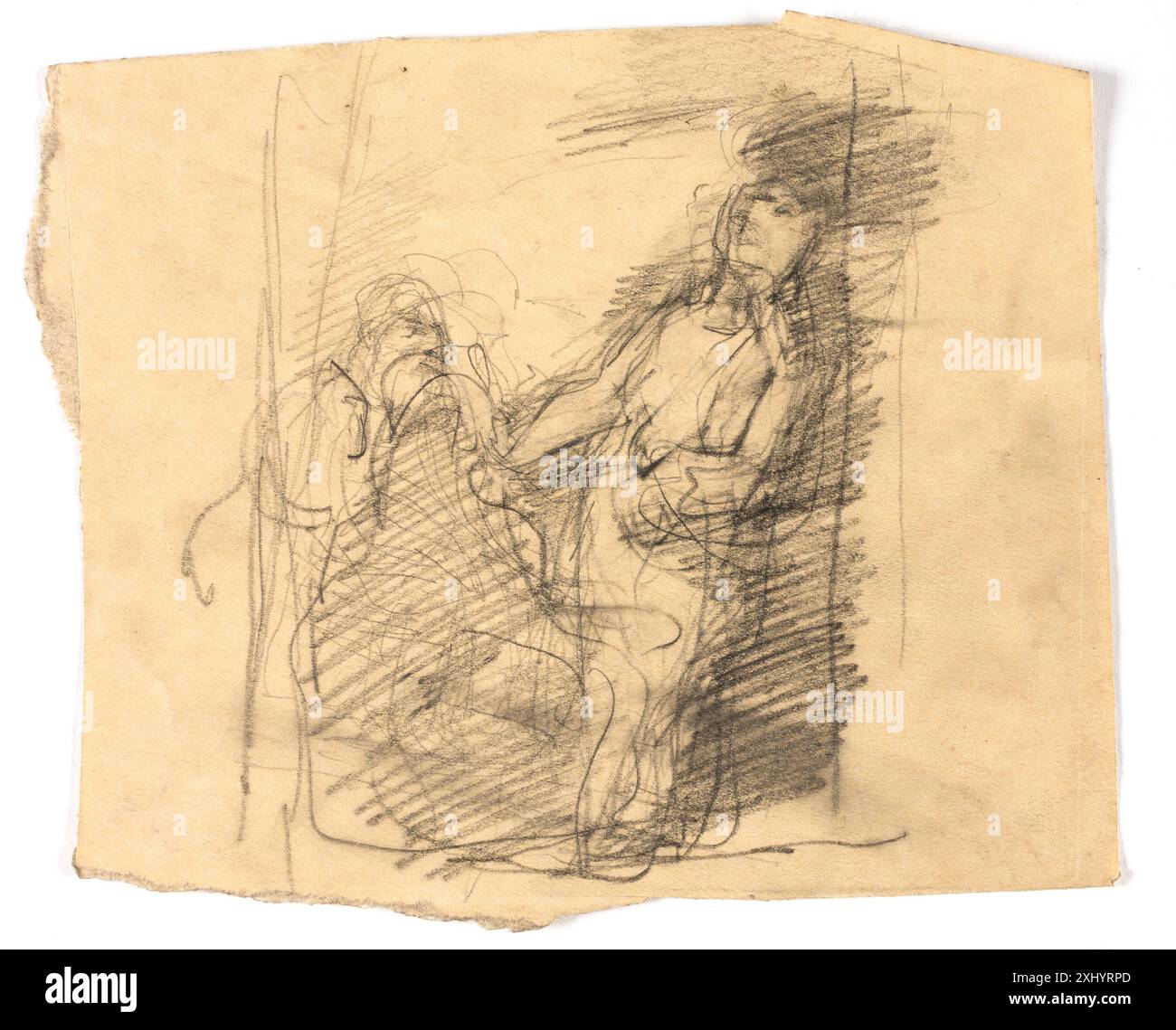 Observation focused Cut Out Stock Images & Pictures - Alamy