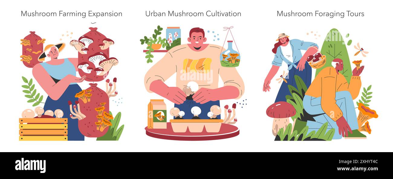 Mushroom Cultivation set. Illustration of diverse methods from farming ...