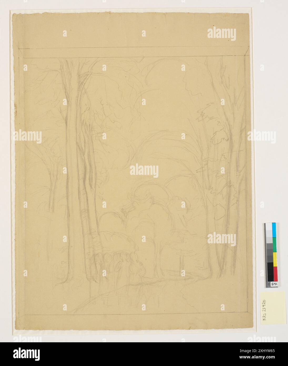 Leaves forest 19th drawing hi-res stock photography and images - Alamy