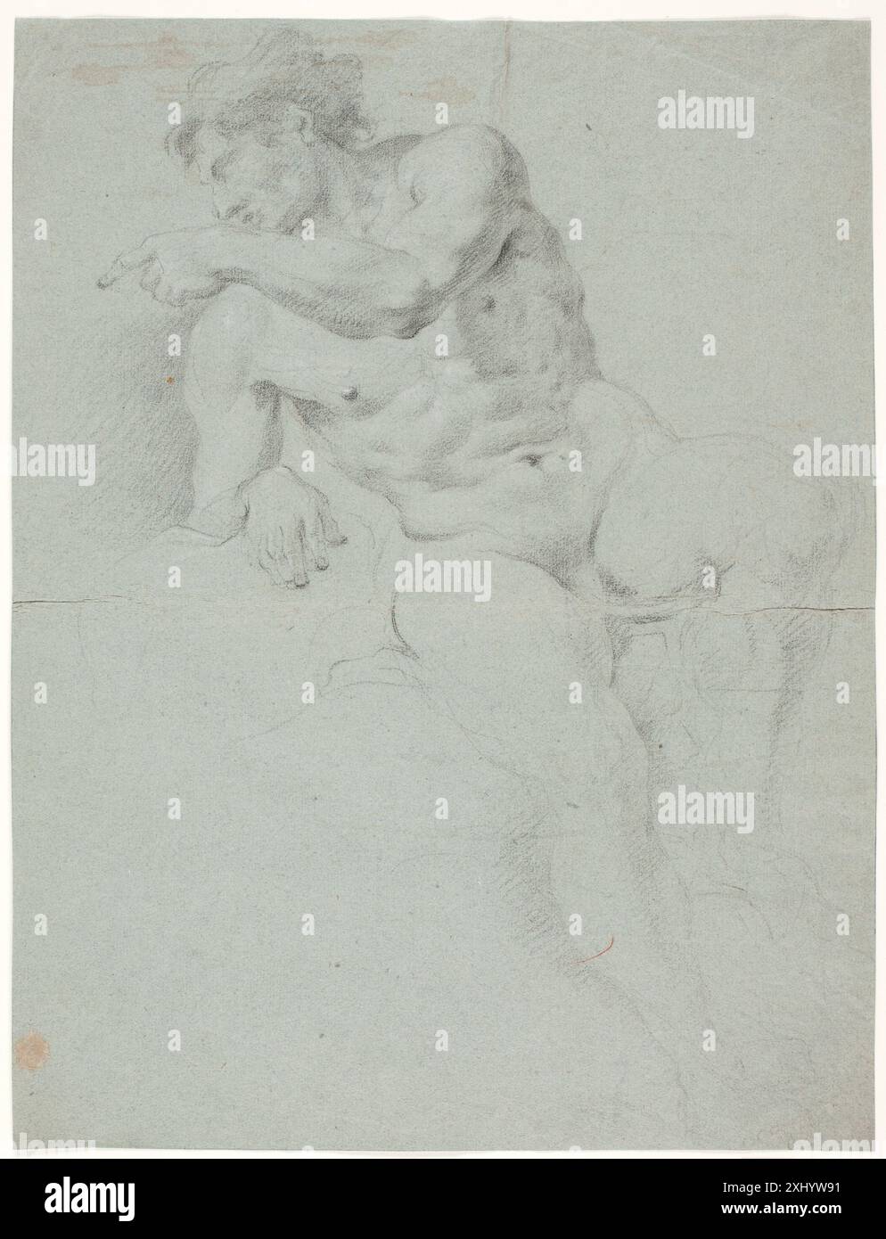 Male proportion study hi-res stock photography and images - Alamy